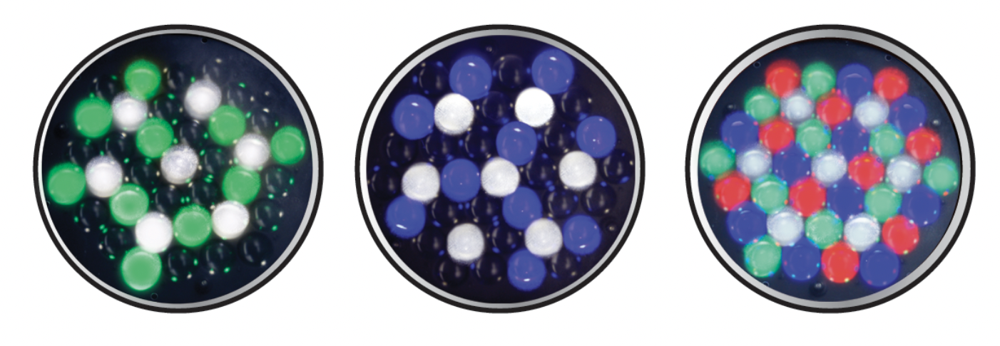 PAR LED 120 – Showco